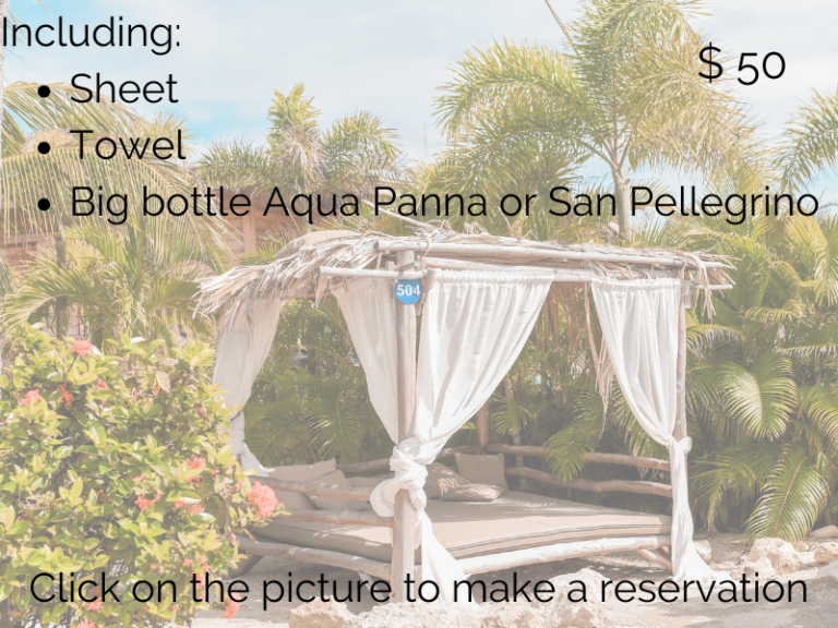 Beach – Ocean Oasis