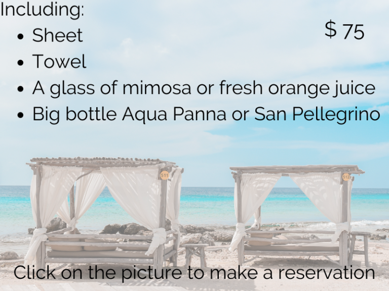 Beach – Ocean Oasis